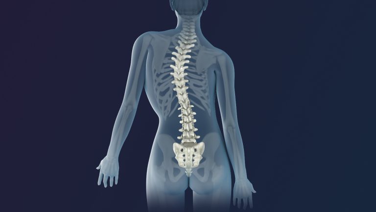 Can A Chiropractor Help With A Pinched Nerve? Read It Here Can A Chiropractor Help With A Pinched Nerve? Read It Here